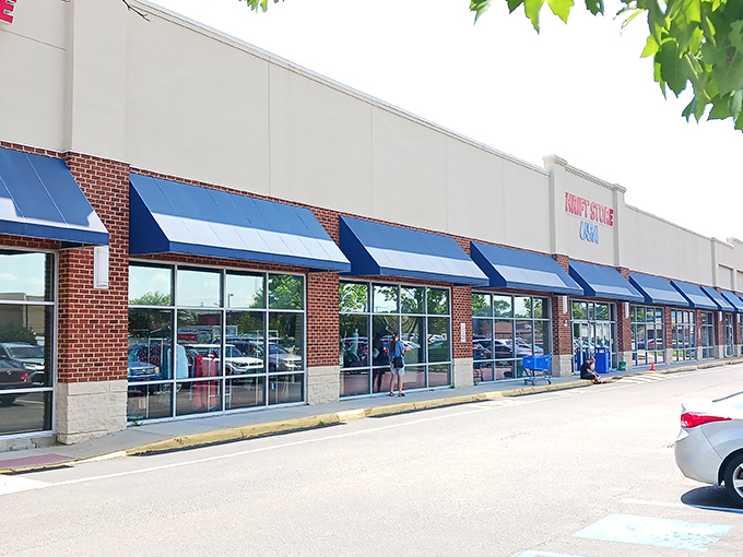 Welcome to Thrift Store USA, where bargain hunting dreams come true and wallets breathe a sigh of relief!