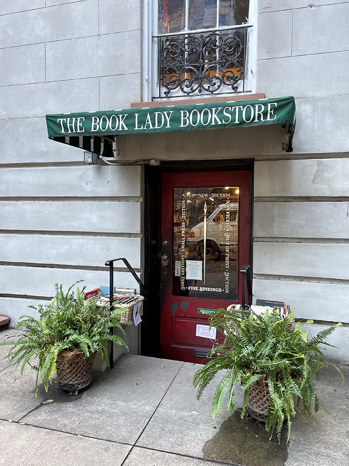 1 hunt for rare literary treasures at this under the radar bookstore in savannah