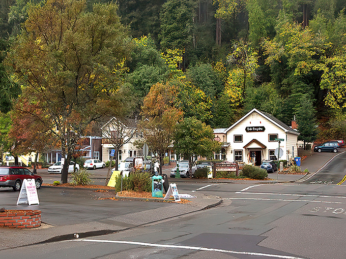 Welcome to Occidental: Where time slows down and the trees stand tall. This charming town nestled in the redwoods is like a warm hug from Mother Nature herself.