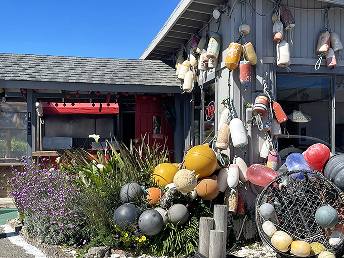 Ahoy, seafood lovers! The Boat House in Bodega Bay looks like it raided Poseidon's garage sale, and we're here for it.