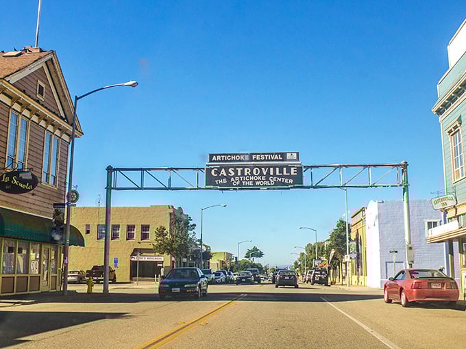 Welcome to Castroville: Where Texas meets Alsace! This charming town sign promises an artichoke festival and small-town warmth that'll make you want to stay forever.