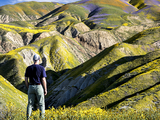 Welcome to nature's own Technicolor dreamcoat! Carrizo Plain's hills are alive with the sound of... well, your own gasps of wonder.