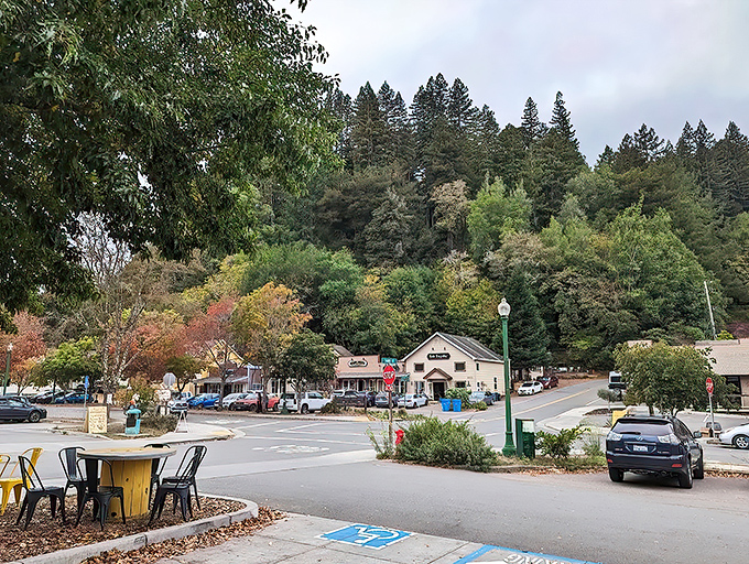 Welcome to Occidental: Where time slows down and the trees stand tall. This charming town nestled in the redwoods is like a warm hug from Mother Nature herself.