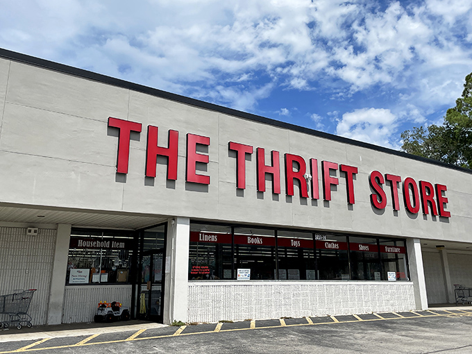 Welcome to The Thrift Store, where one person's castoffs become another's treasures! This sprawling emporium of pre-loved goods is a bargain hunter's paradise, promising adventures in every aisle.