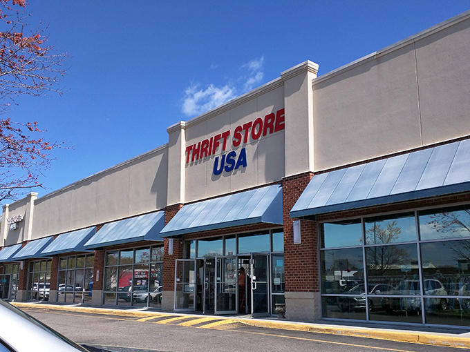 Welcome to Thrift Store USA, where bargain hunting dreams come true and wallets breathe a sigh of relief!