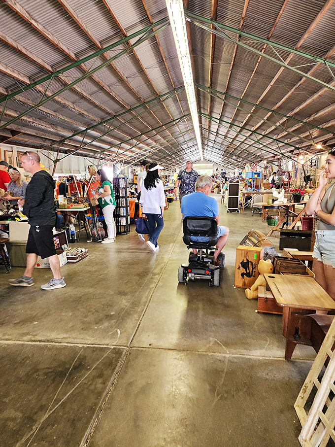 A treasure hunter's paradise! From quirky signs to vintage vases, this outdoor bazaar is where your inner collector comes alive.