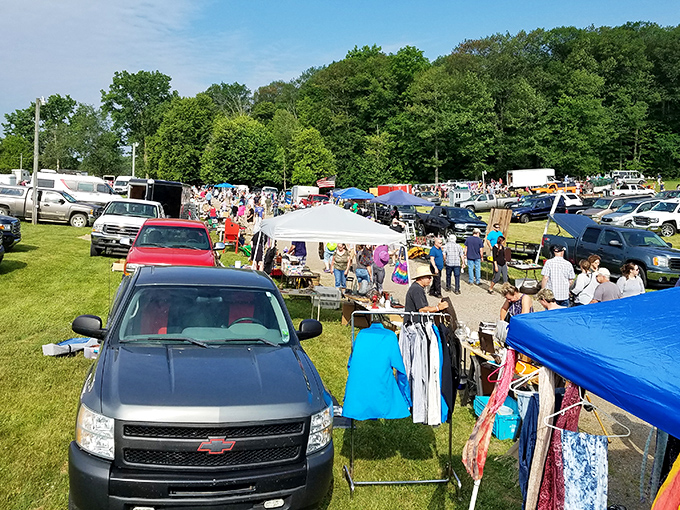 Holy parking lot, Batman! This view of Armada Flea Market looks like a treasure hunter's Mecca. Bring your walking shoes and a keen eye!