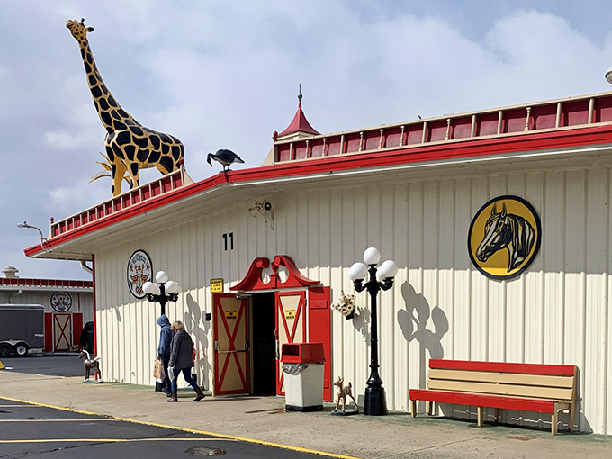 Welcome to Traders World, where bargain hunting meets Wonderland! This whimsical entrance promises a day of treasure-seeking adventures.
