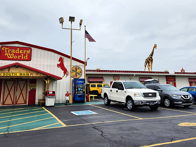 Welcome to Traders World, where bargain hunting meets Wonderland! This whimsical entrance promises a day of treasure-seeking adventures.