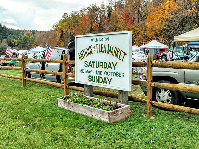 Welcome to treasure hunter's paradise! Tents stretch as far as the eye can see, promising hidden gems and quirky finds at every turn.