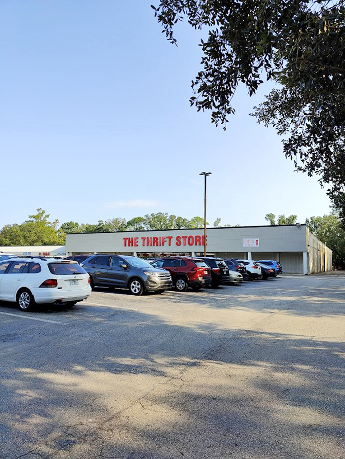 Welcome to The Thrift Store, where one person's castoffs become another's treasures! This sprawling emporium of pre-loved goods is a bargain hunter's paradise, promising adventures in every aisle.