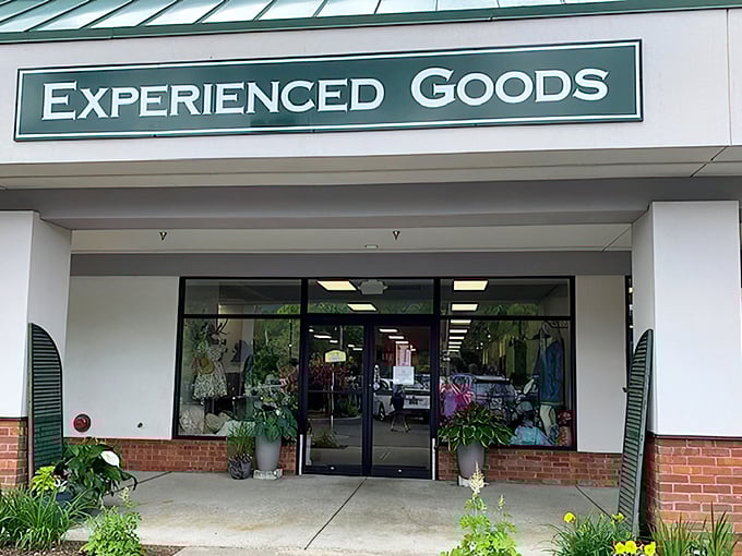 Thrift store or treasure trove? Experienced Goods beckons with promises of hidden gems and bargain-hunting adventures.