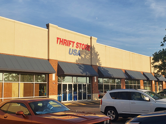 Welcome to Thrift Store USA, where bargain hunting dreams come true and wallets breathe a sigh of relief!