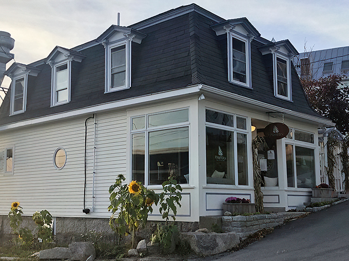 A coastal gem that's more than meets the eye! Fin and Fern's charming exterior promises culinary adventures within, with sunflowers standing guard like nature's own ma&icirc;tre d's.