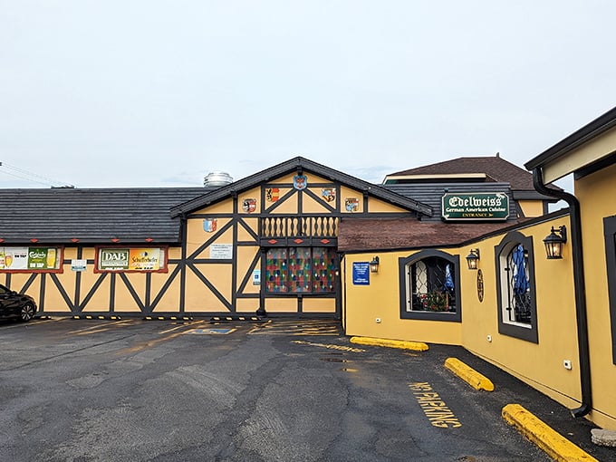 A Bavarian fairytale in the heart of Illinois! This charming facade promises schnitzel-fueled adventures and pretzel-twisted good times.