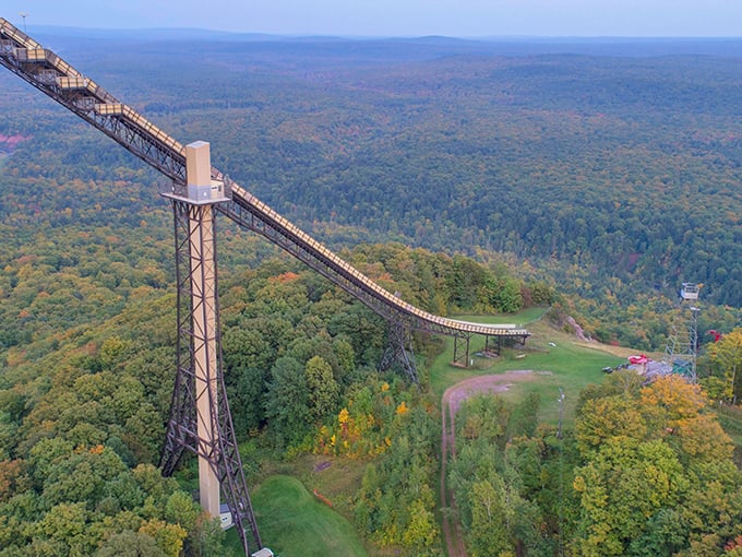 Behold, the Eiffel Tower of the North Woods! This metal marvel pierces the sky like a toothpick in a particularly ambitious club sandwich.