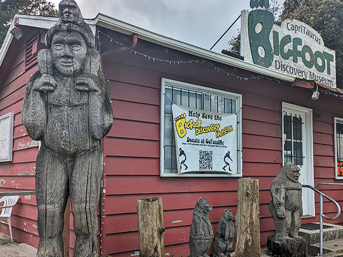 Welcome to Bigfoot's summer home! This rustic red cabin houses a treasure trove of sasquatch secrets and cryptozoological curiosities.