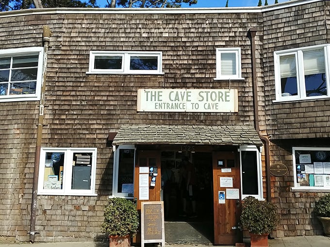 The Cave Store: Where souvenir shopping meets subterranean adventure. It's like finding Narnia in your closet, but with more seashells and less talking lions.