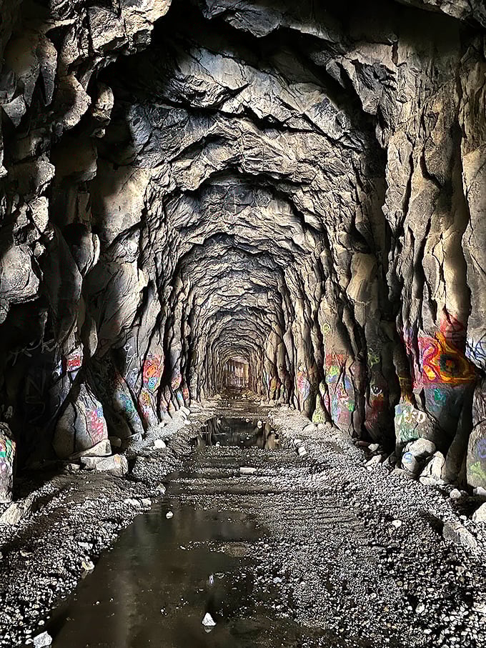 Step into a time warp! This graffiti-adorned tunnel is like a portal to the past, with a splash of modern street art flair.