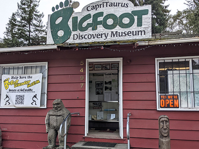 Welcome to Bigfoot's summer home! This rustic red cabin houses a treasure trove of sasquatch secrets and cryptozoological curiosities.