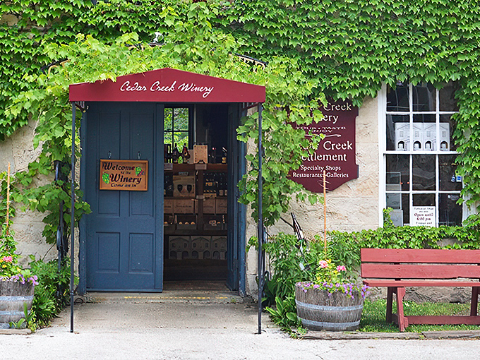 Nature's own waterfall wine cooler! This picturesque cascade sets the stage for Cedar Creek's liquid delights, proving Mother Nature has excellent taste in scenery.