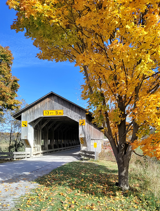 "Autumn's golden embrace!" This covered bridge isn't just crossing a creek; it's time-traveling through a Rockwell painting come to life.