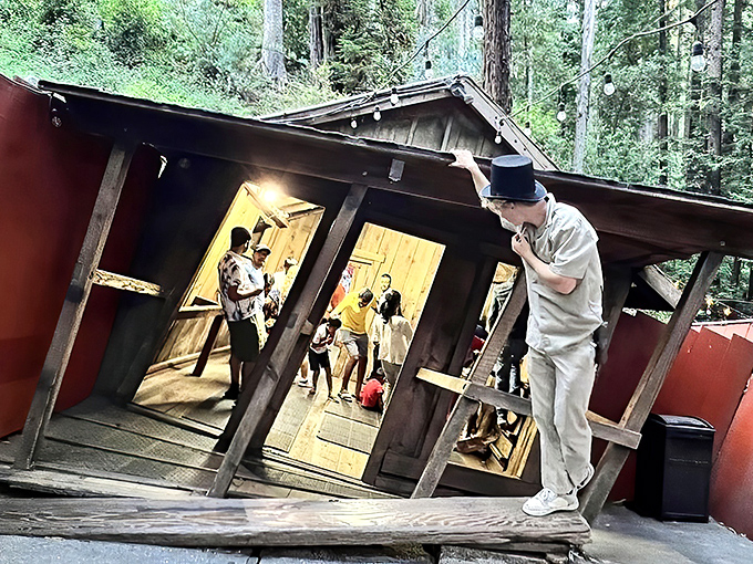 Tilt-a-Whirl meets Escher's nightmares! This gravity-defying cabin will have you questioning reality faster than you can say "vertigo."