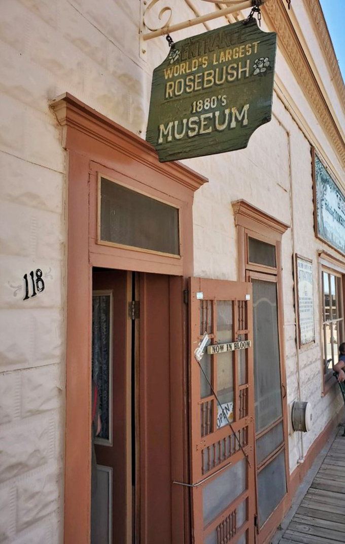 Step back in time on Tombstone's main drag! This dusty street whispers tales of gunslingers and gold rushes with every creaky floorboard.