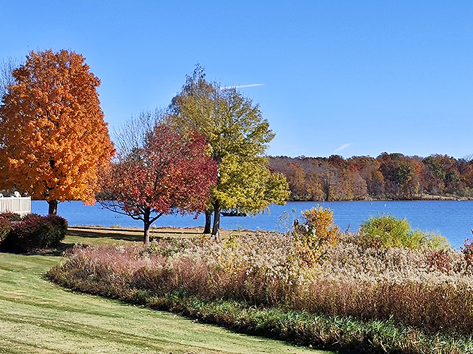 Nature's own masterpiece: Shabbona Lake's autumn palette rivals any art gallery. Who needs Instagram filters when you've got this view?