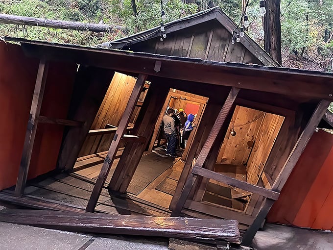 Tilt-a-Whirl meets Escher's nightmares! This gravity-defying cabin will have you questioning reality faster than you can say "vertigo."