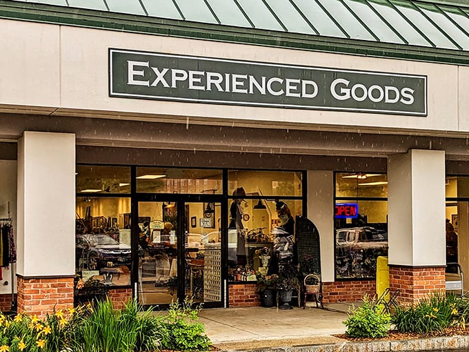 Thrift store or treasure trove? Experienced Goods beckons with promises of hidden gems and bargain-hunting adventures.