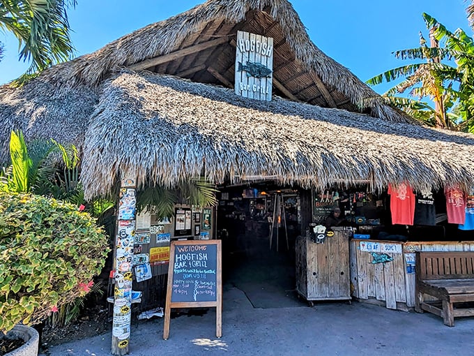 Thatched-roof paradise alert! This rustic gem beckons with the promise of seafood treasures and tropical vibes.