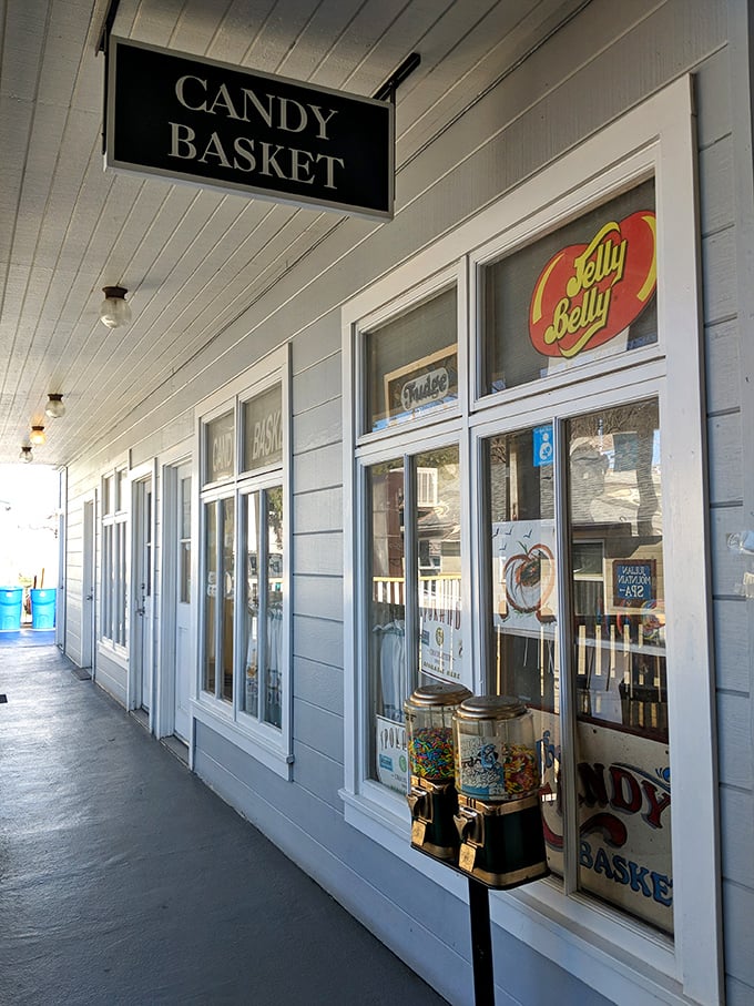 Step right up to the sweetest show in town! The Julian Candy Basket's charming exterior promises a sugar-coated adventure that'll make your inner child do backflips.