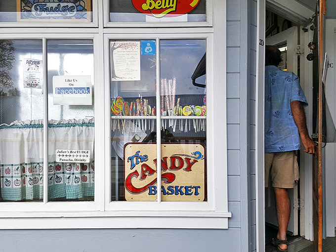 Step right up to the sweetest show in town! The Julian Candy Basket's charming exterior promises a sugar-coated adventure that'll make your inner child do backflips.
