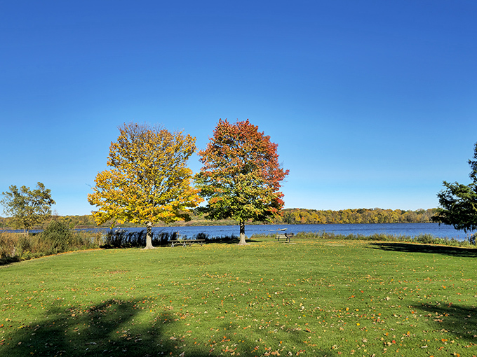 Nature's own masterpiece: Shabbona Lake's autumn palette rivals any art gallery. Who needs Instagram filters when you've got this view?