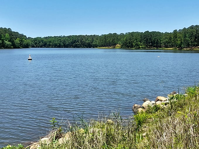 Nature's own waterpark! These cascading falls at Indian Springs State Park are Mother Earth's answer to Six Flags, minus the overpriced funnel cakes.