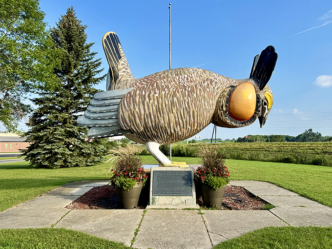 Is it a bird? Is it a plane? No, it's Rothsay's colossal chicken! This feathered giant stands tall, ready to ruffle some feathers and steal hearts.