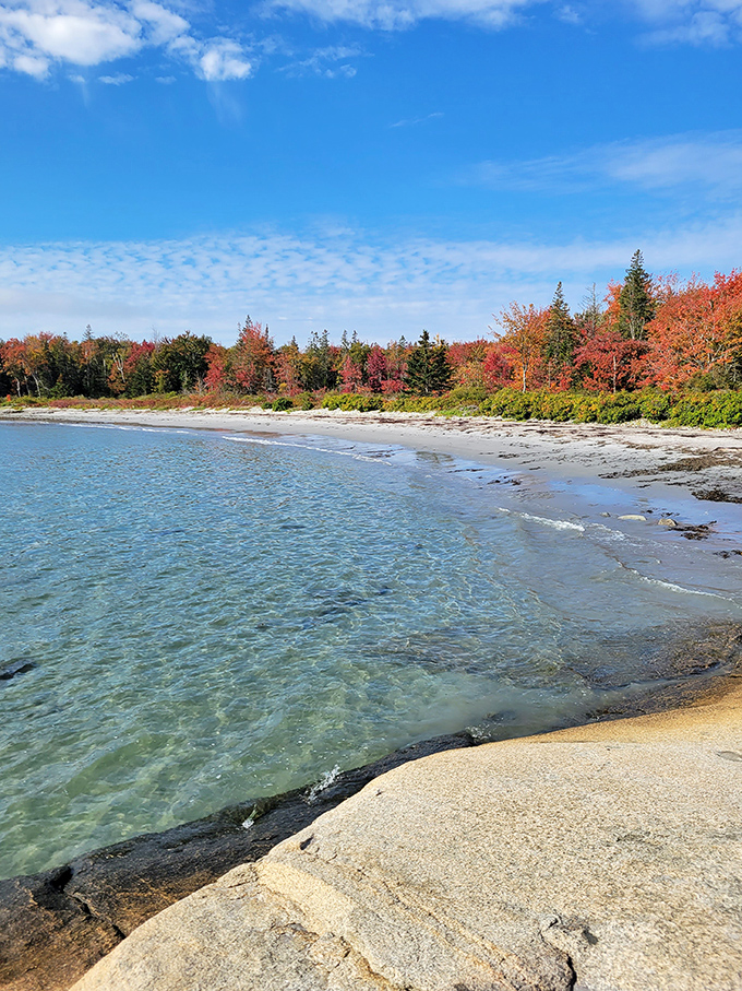 "Welcome to paradise!" they said. Little did I know, Birch Point's crystal waters and autumn foliage would redefine my idea of heaven.