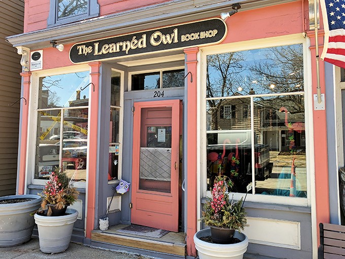 A literary oasis in salmon pink! The Learned Owl's charming facade promises adventures within, no library card required.