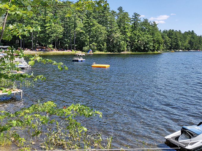 Welcome to paradise! Outlet Beach beckons with its crystal-clear waters and towering pines, like nature's own version of a five-star resort.