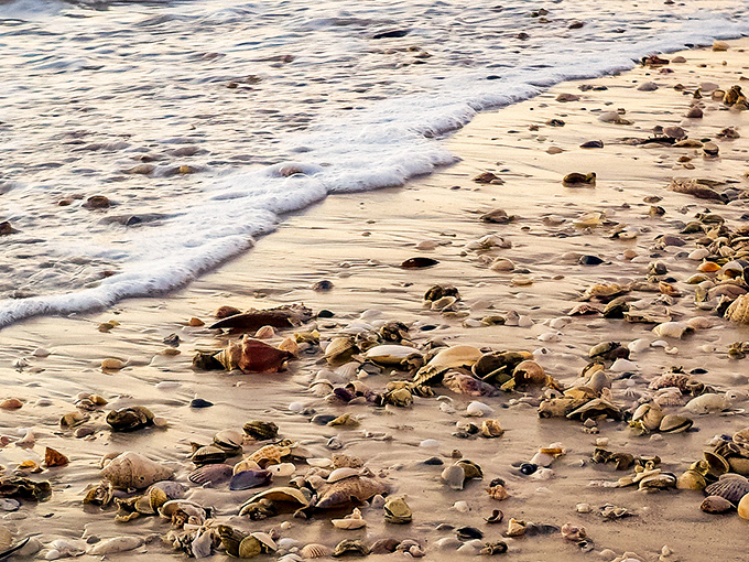 Shell-seekers' paradise! Captiva's beaches are nature's treasure chest, where every wave brings a new surprise. Who needs a metal detector when you've got these sandy riches?