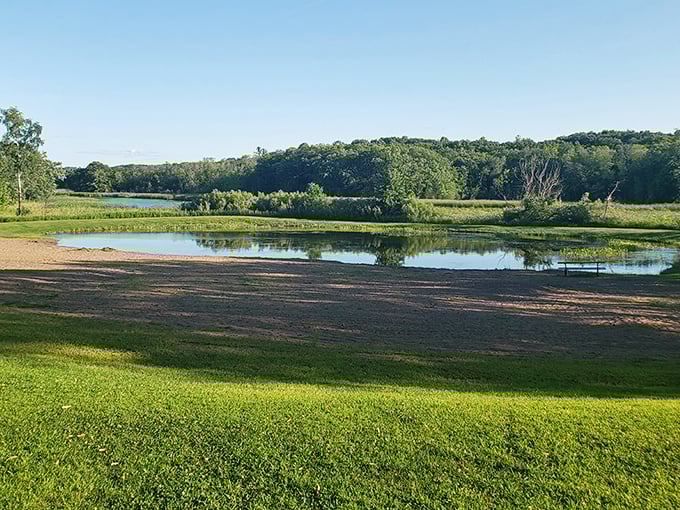 Nature's canvas unfolds: A serene lake reflects the sky like a mirror, while lush forests stand guard. It's Minnesota's version of a Monet painting, minus the water lilies.