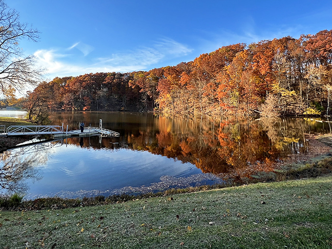 Mirror, mirror on the lake! Mt. Gilead's serene waters reflect nature's beauty like a landscape painter's dream come true. A sight that'll make you forget your smartphone exists.