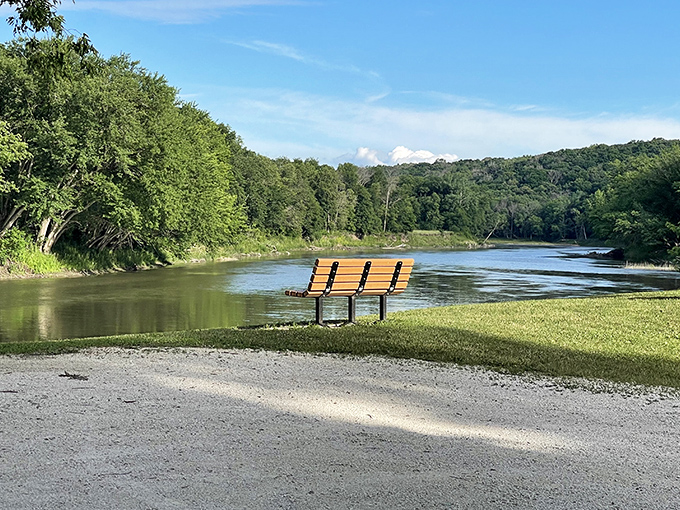 "Who needs a therapist when you've got this view?" A serene river scene with a lone bench invites contemplation and maybe a picnic or two.