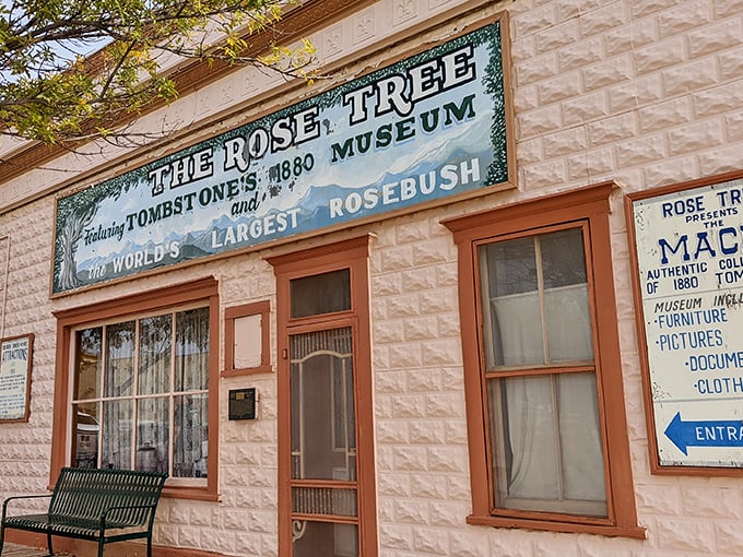 Step back in time on Tombstone's main drag! This dusty street whispers tales of gunslingers and gold rushes with every creaky floorboard.