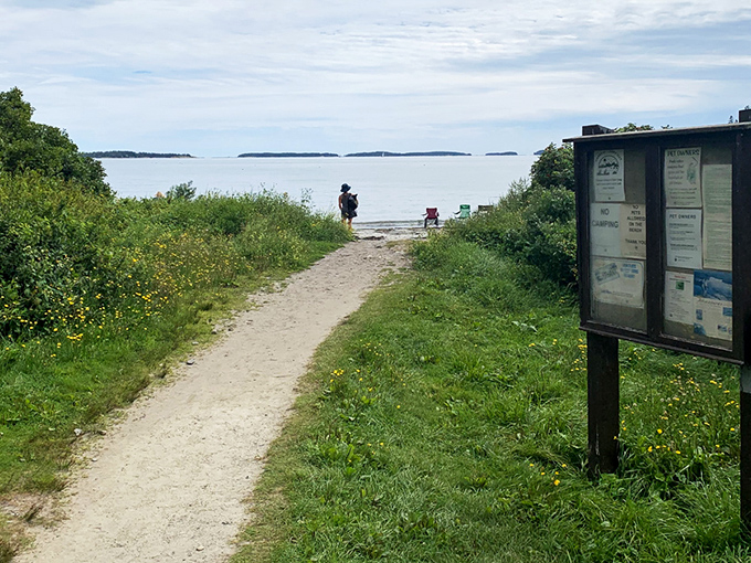 "Welcome to paradise!" This sandy path leads to a slice of Maine heaven, where the ocean whispers secrets and stress melts away faster than ice cream on a hot day.