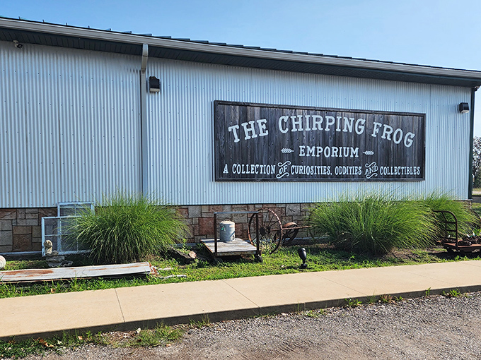 1 this underrated antique store in illinois is a labyrinth of countless vintage treasures and collectibles