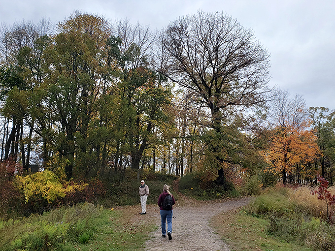 Nature's canvas unfolds: A serene lake reflects the sky like a mirror, while lush forests stand guard. It's Minnesota's version of a Monet painting, minus the water lilies.