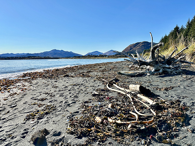 Nature's canvas unfolds: Driftwood sculptures and mountain silhouettes paint a scene more captivating than Bob Ross could imagine.