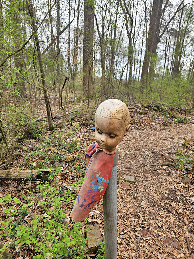 Welcome to the twilight zone of trails! This eerie signpost sets the tone for a hike that's equal parts whimsical and wonderfully weird.